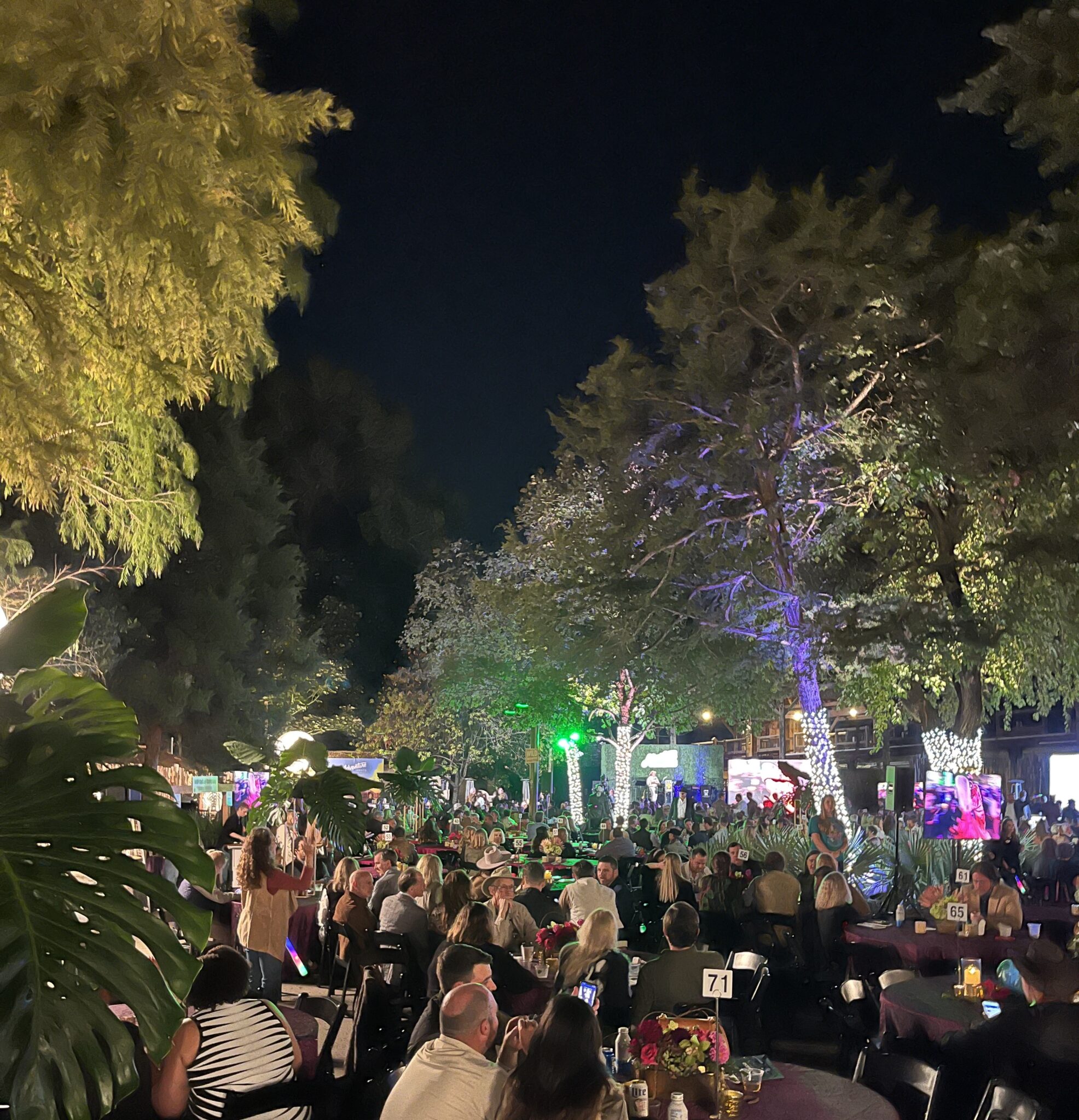 Dallas’ Wild Things Celebrate At 32nd Annual Zoo To Do - Curated Texan